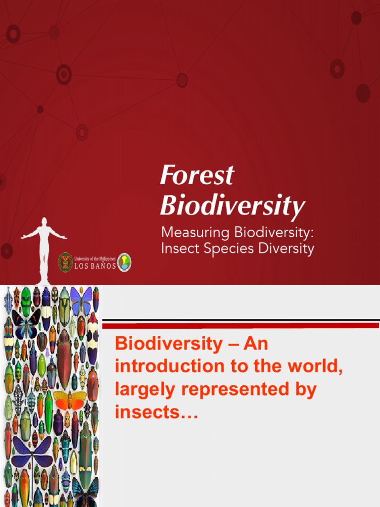 Insect Species Diversity Assessment | PDF | Insects | Biodiversity