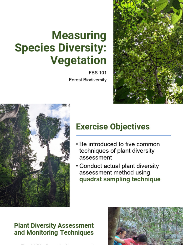 Plant Diversity Assessment Techniques | PDF | Allele | Dominance (Genetics)