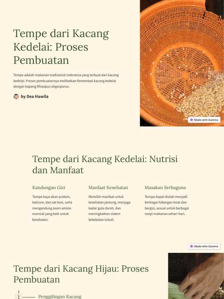 Tempe: Proses & Manfaat Gizi | PDF