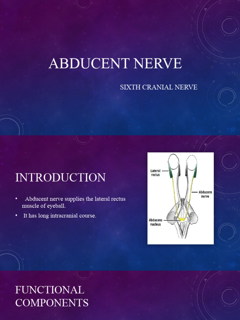 Abducent Nerve 3 | PDF | Human Head And Neck | Nervous System