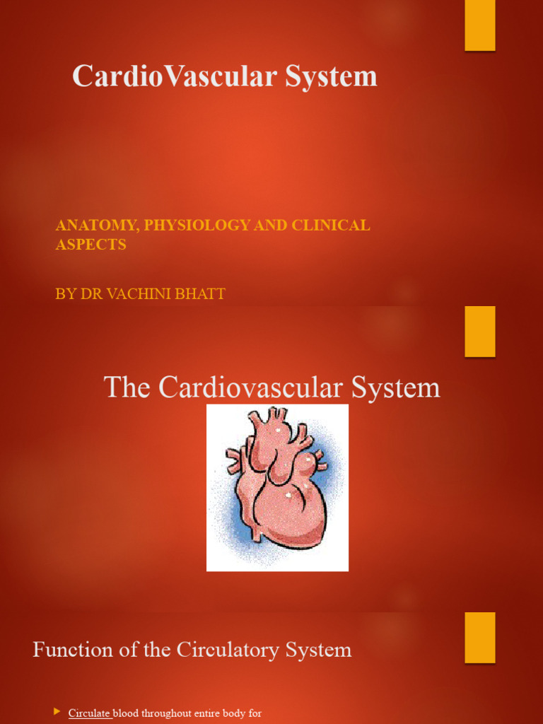 CardioVascular System | PDF | Artery | Blood