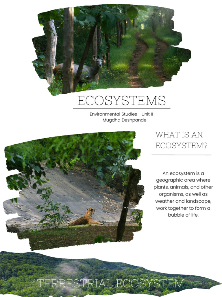 Unit 2 Eng Pdf Grassland Forests