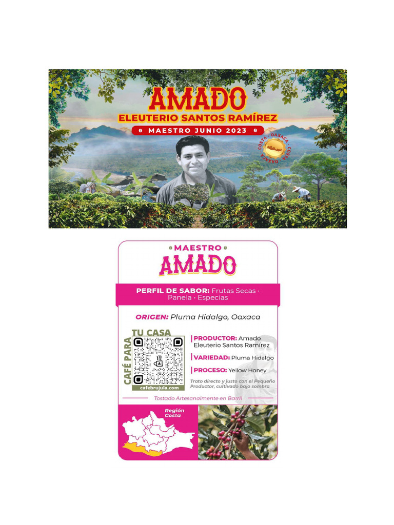 Café Maestro Amado | PDF | café | Bebida