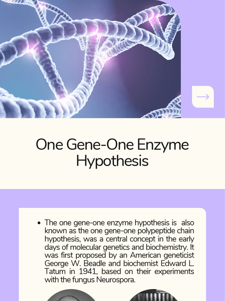 One Gene One Enzyme | PDF