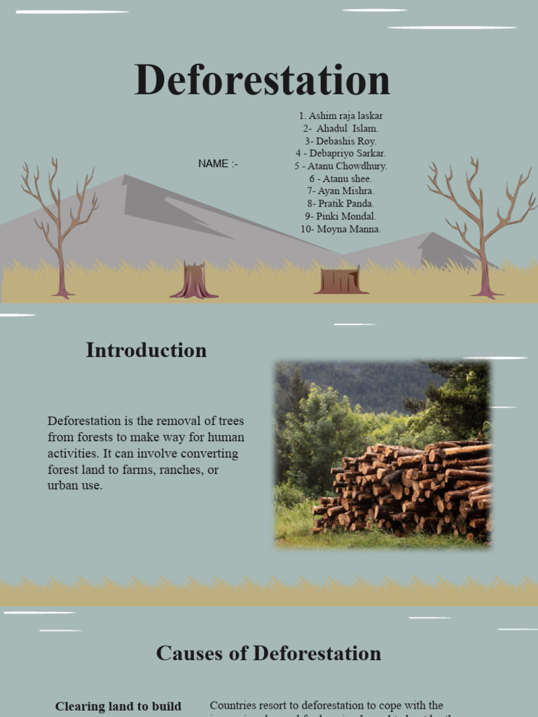 Deforestation PPT 1 | PDF | Deforestation | Landscape
