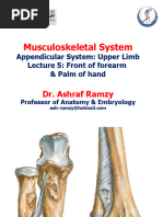 EMRA SportsMedicine Splint Guide | PDF | Thumb | Hand