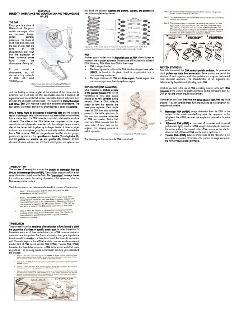 DNA: Heredity, Structure, and Function | PDF | Rna | Dna