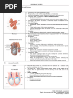 Human Body Weak Points | PDF | Anatomical Terms Of Motion | Anatomy