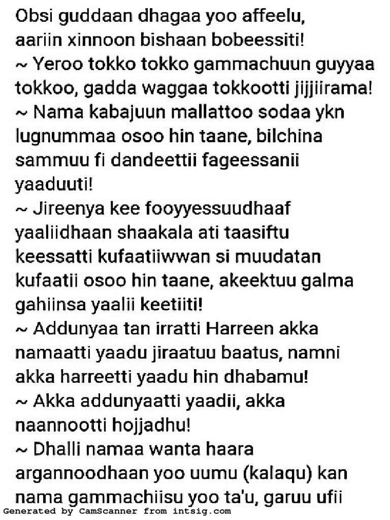Obsa Qabaachuu fi Jireenya Dargaggummaa | PDF