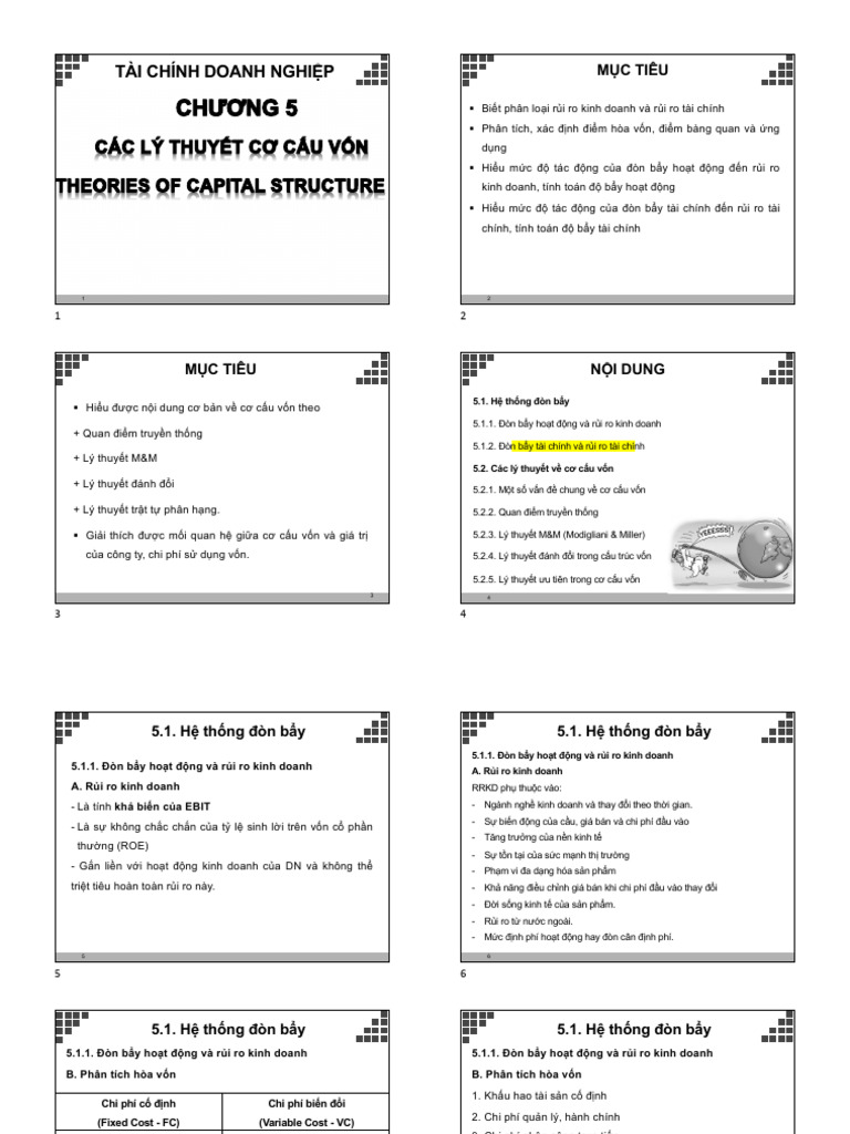 Tai Chinh Doanh Nghiep Chuong 5 El Cac Ly Thuyet Co Cau Von (Cuuduongthancong - Com) | PDF