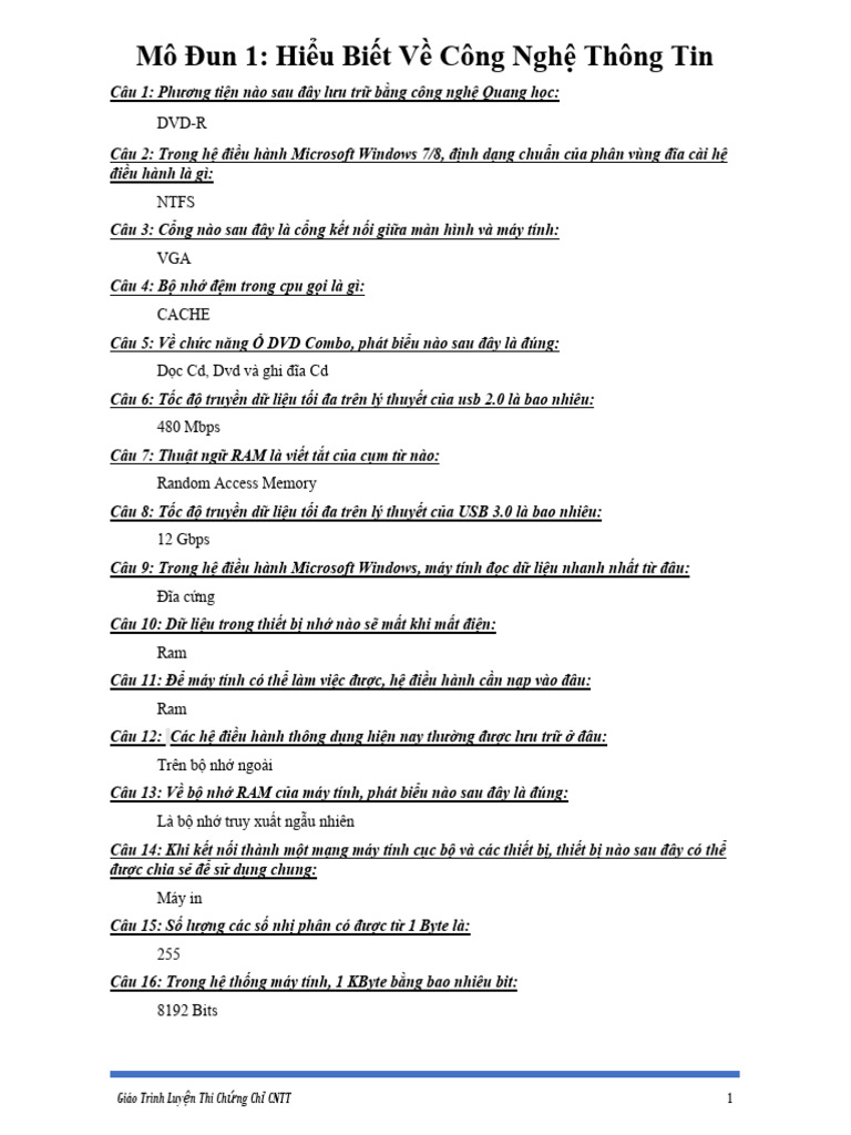 Cau Hoi Trac Nghiem Thi CNTT Co Ban | PDF