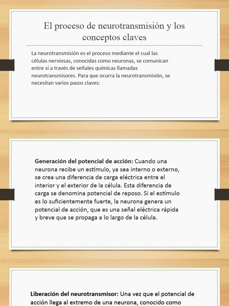 Power Neuro | PDF | Sinapsis | Neurona