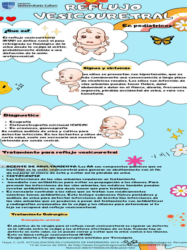 Reflujo Vesicouretral | PDF | Sistema urinario | Medicina