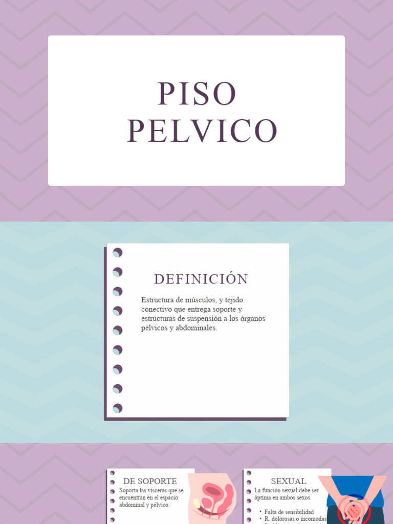 Funciones del Suelo Pélvico y Tratamientos | PDF | Vagina | Pelvis