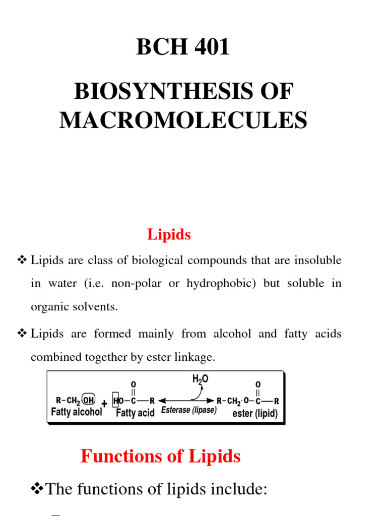 BCH 401 Note 1 | PDF | Lipid | Fatty Acid
