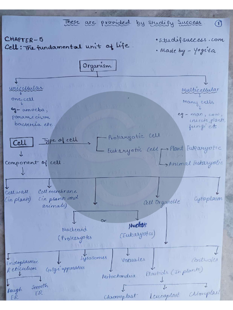 Class 9 Science Ch-5 Notes | PDF