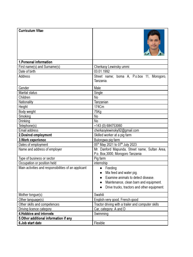 Norway Sample CV | PDF