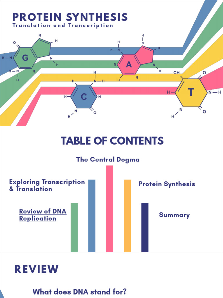 Protein-Synthesis | PDF | Translation (Biology) | Messenger Rna