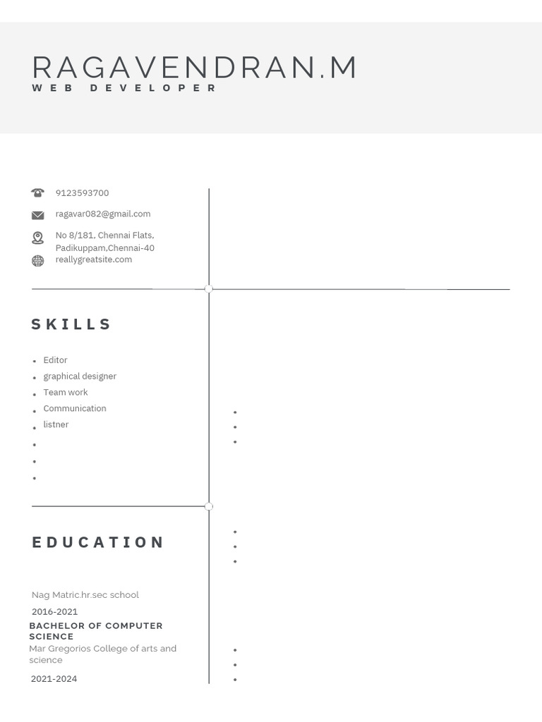 Aspiring Web Developer Profile | PDF