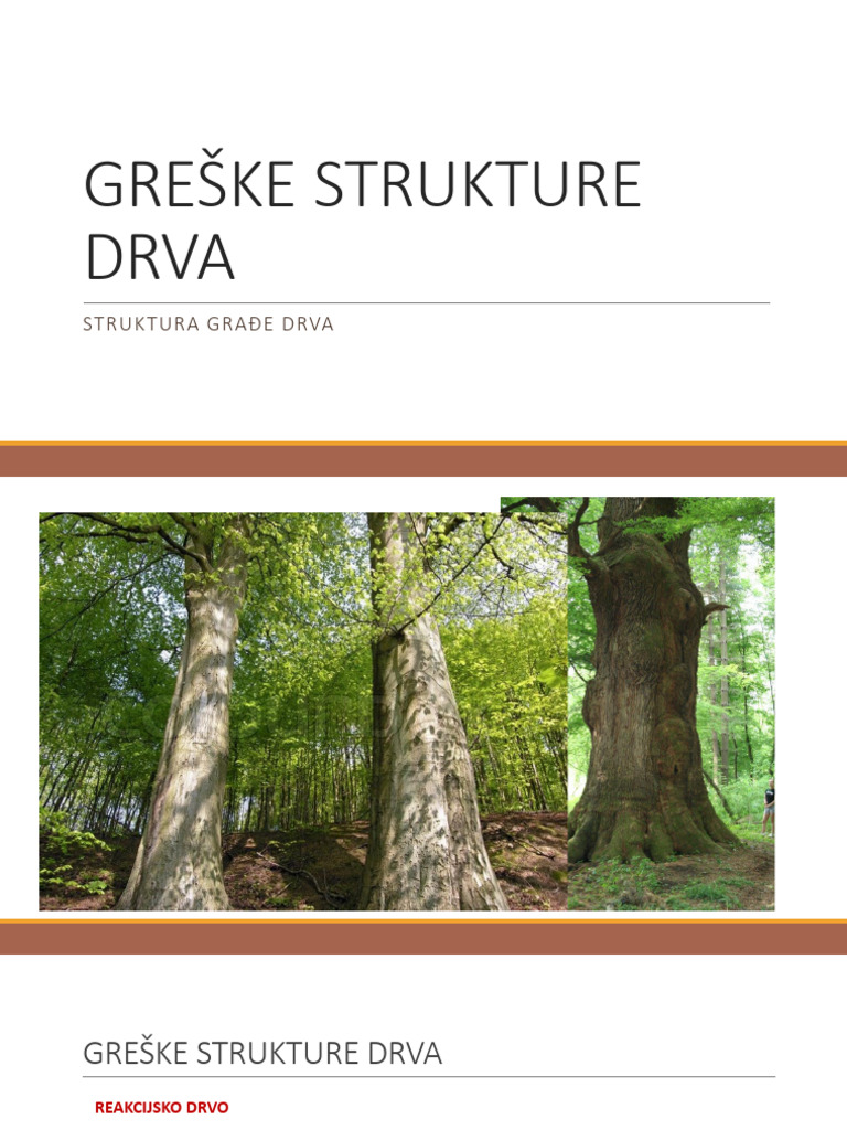 Greške Strukture Drva - Struktura Građe Drva | PDF