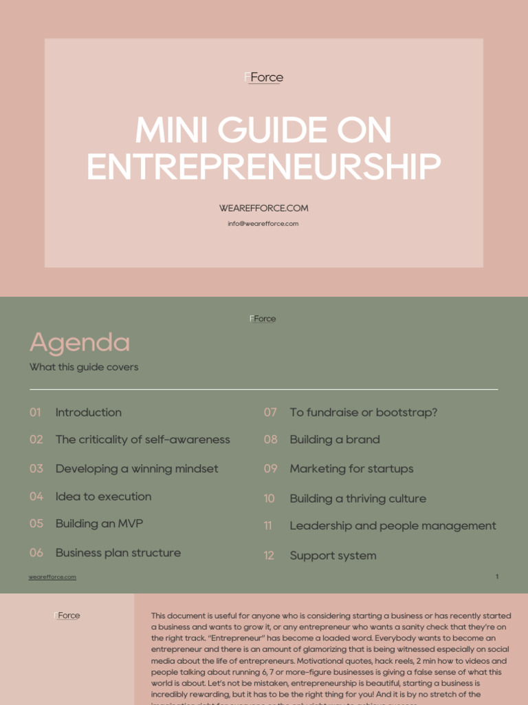Mini Guide For Entrepreneurs Updated | PDF | Startup Company | Small Business & Entrepreneurs