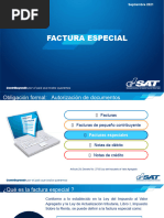 Factura Especial: Guía y Ejemplos | PDF