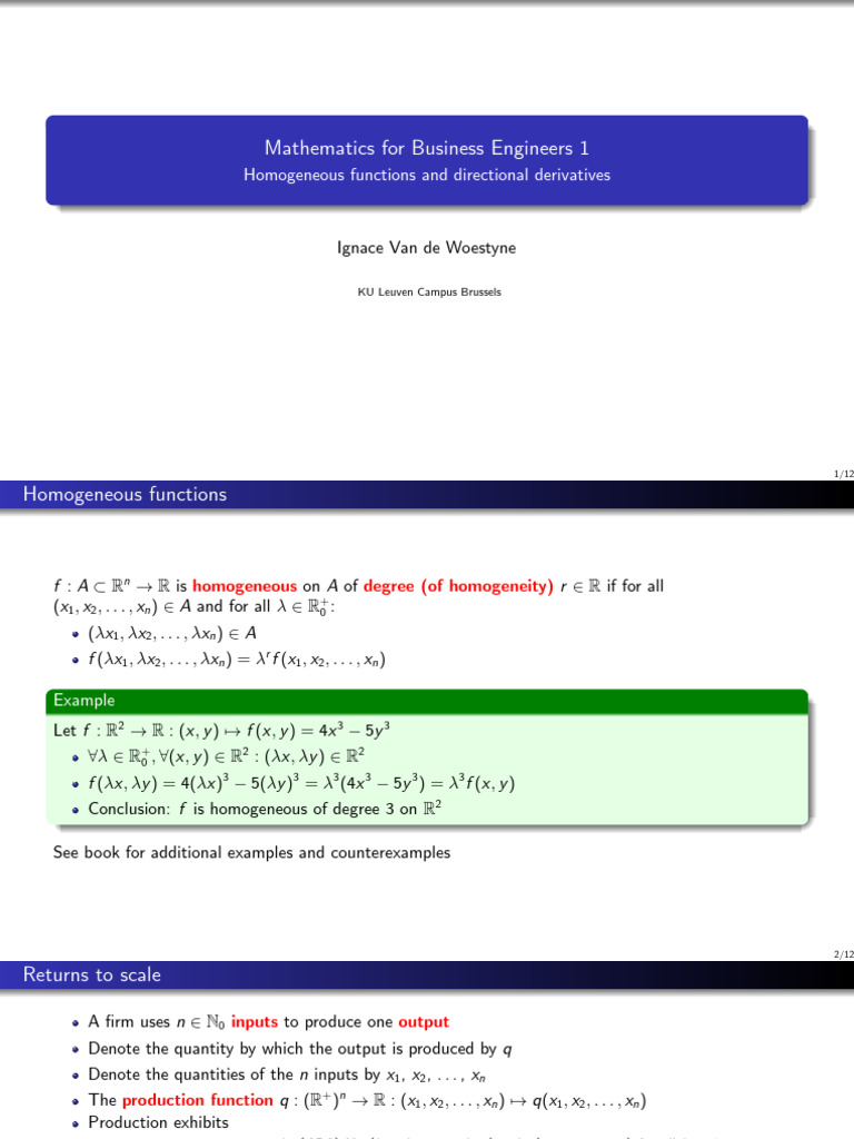 Mathematics For Business Engineers 1: Homogeneous Functions and Directional Derivatives | PDF ...