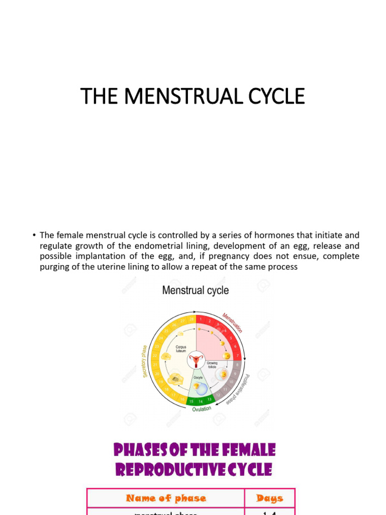 Menstrual Cycle | PDF | Menstrual Cycle | Luteinizing Hormone