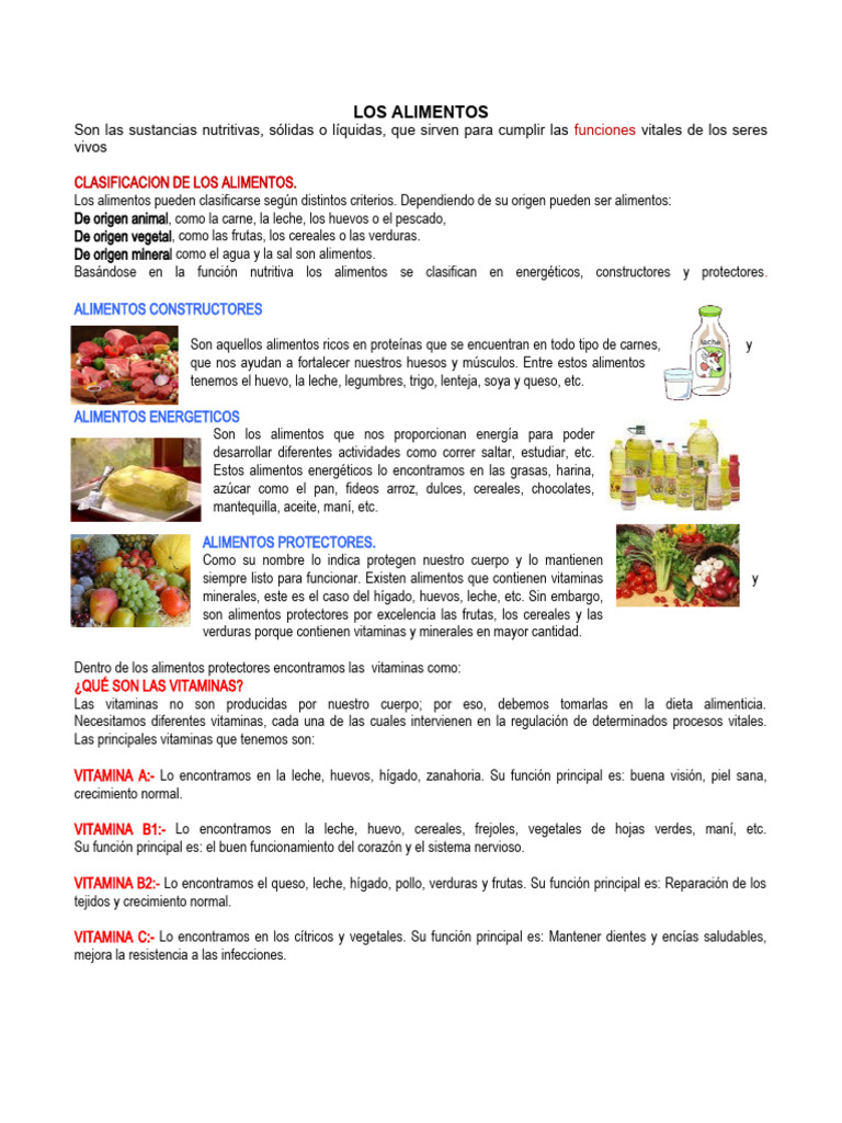 Clasificación y funciones de los alimentos | PDF | Alimentos | Vegetales