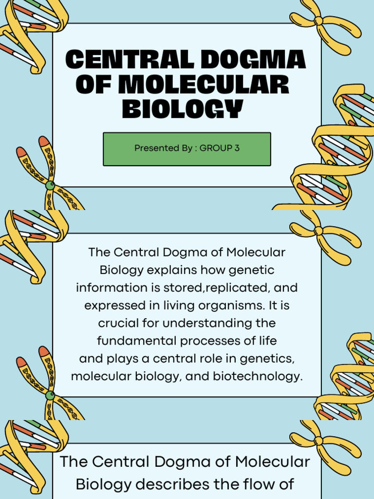 Structure of DNA Science Presentation in Light Blue Green Lined Style ...