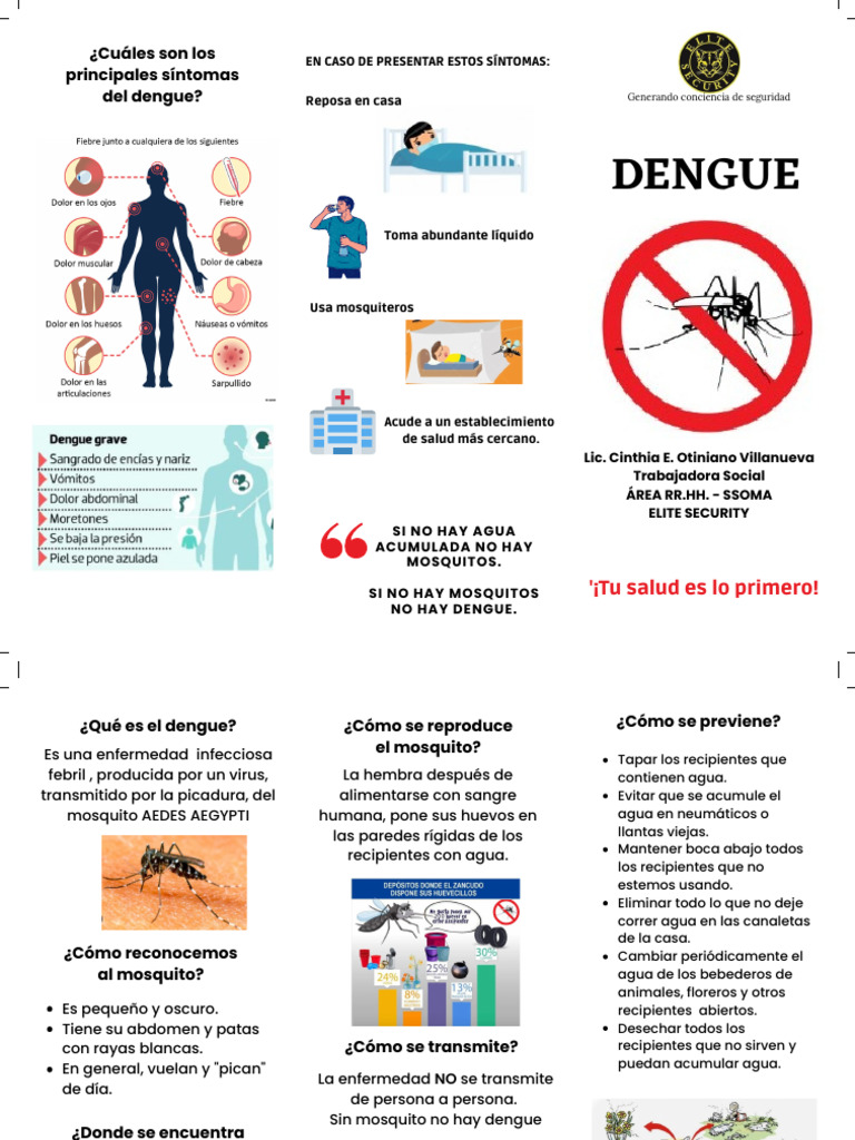 Folleto Tríptico Dengue | PDF | Mosquito | Insectos y humanos