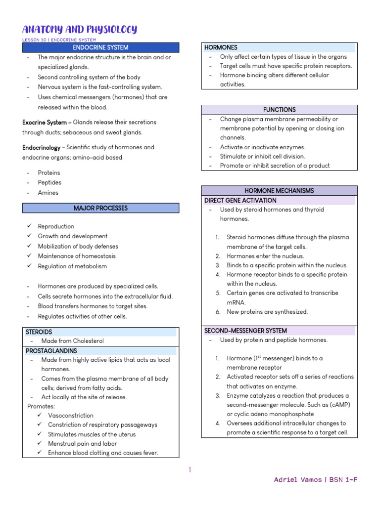 Endocrine System Transes | PDF | Hormone | Endocrine System