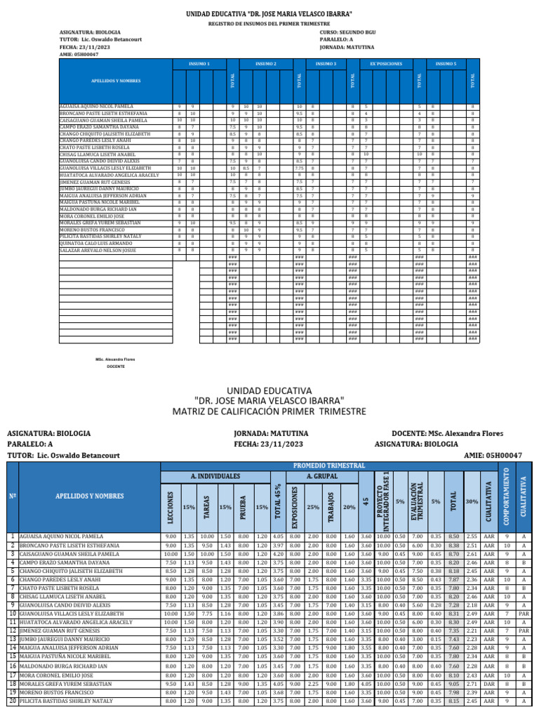Formato Notas Colegio Res | PDF