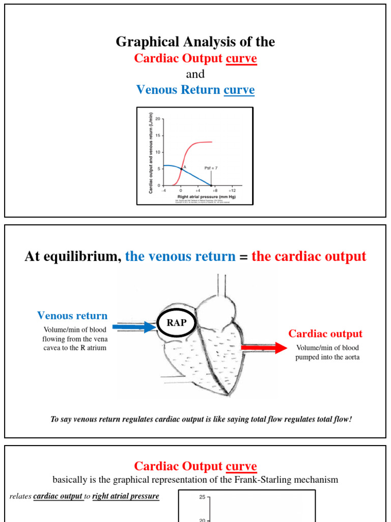 Graphical Analysis of CO and VR Curves | PDF | Vein | Heart