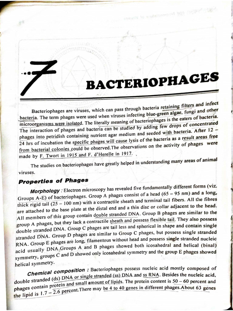 Bacteriophage | PDF