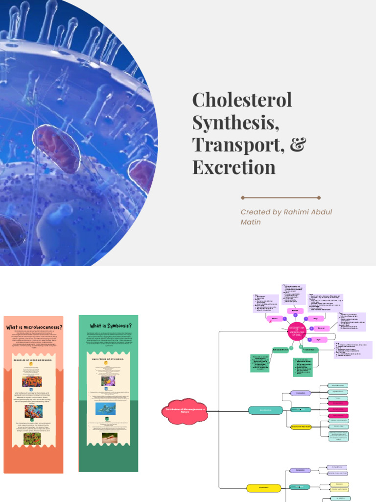 Biology Photosynthetic Organism Poster in Green Yellow Illustrative ...
