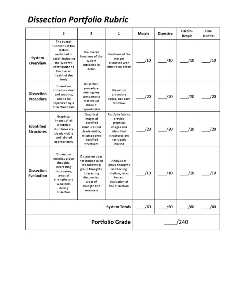 Dissection Portfolio Evaluation Rubric | PDF | Computers | Career & Growth