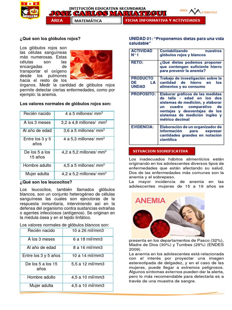 Ficha Informativa 2024 | PDF | Leucocito | Sangre