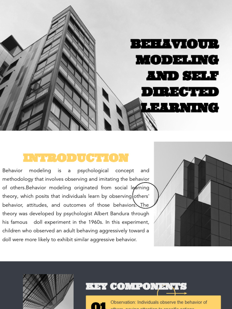 Self-Directed Learning | PDF | Learning | Imitation