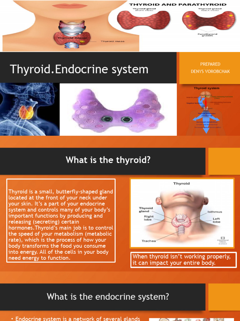 Щитоподібна залоза анг | PDF | Endocrine System | Hyperthyroidism