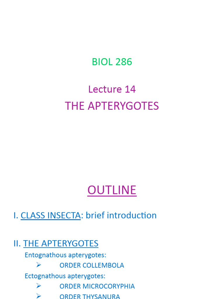 BIOL 286 Lecture 14 THE APTERYGOTES With Annotations | PDF | Insects ...