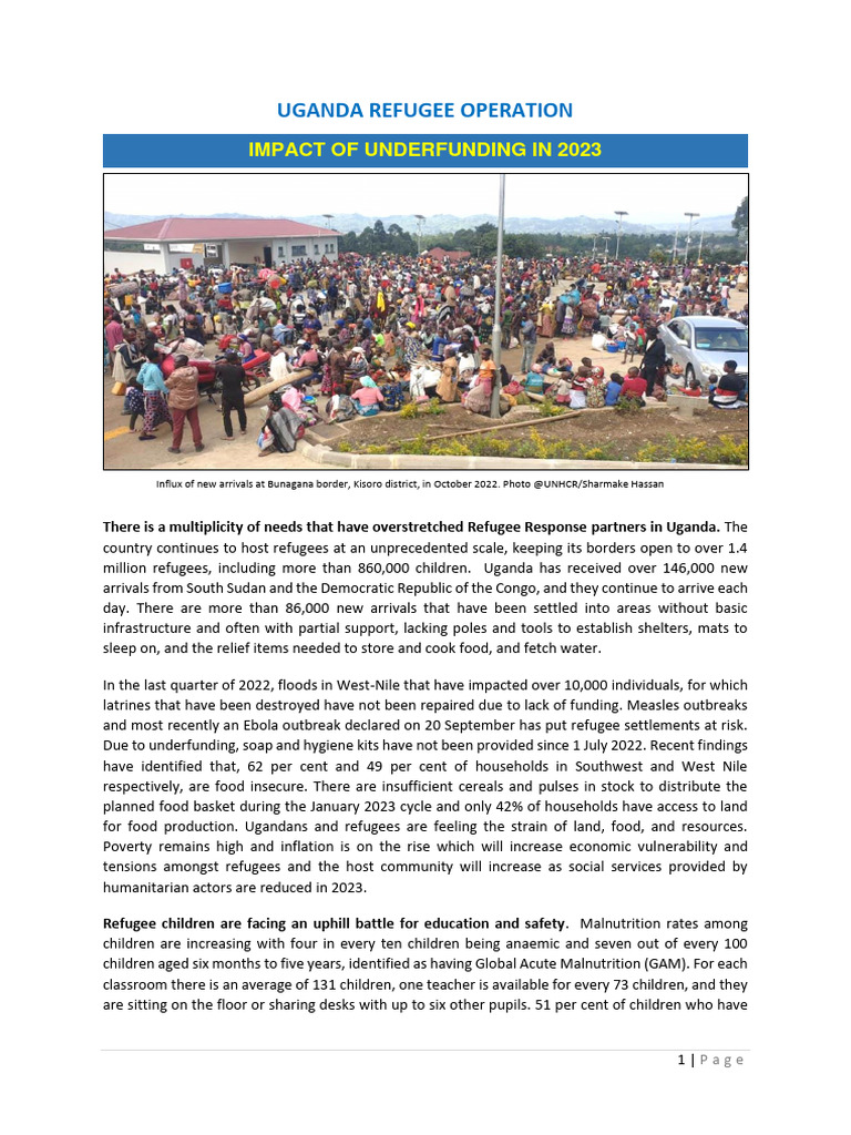 IMPACT OF UNDERFUNDING BY SECTOR - Detailed Budget | PDF | Wash ...