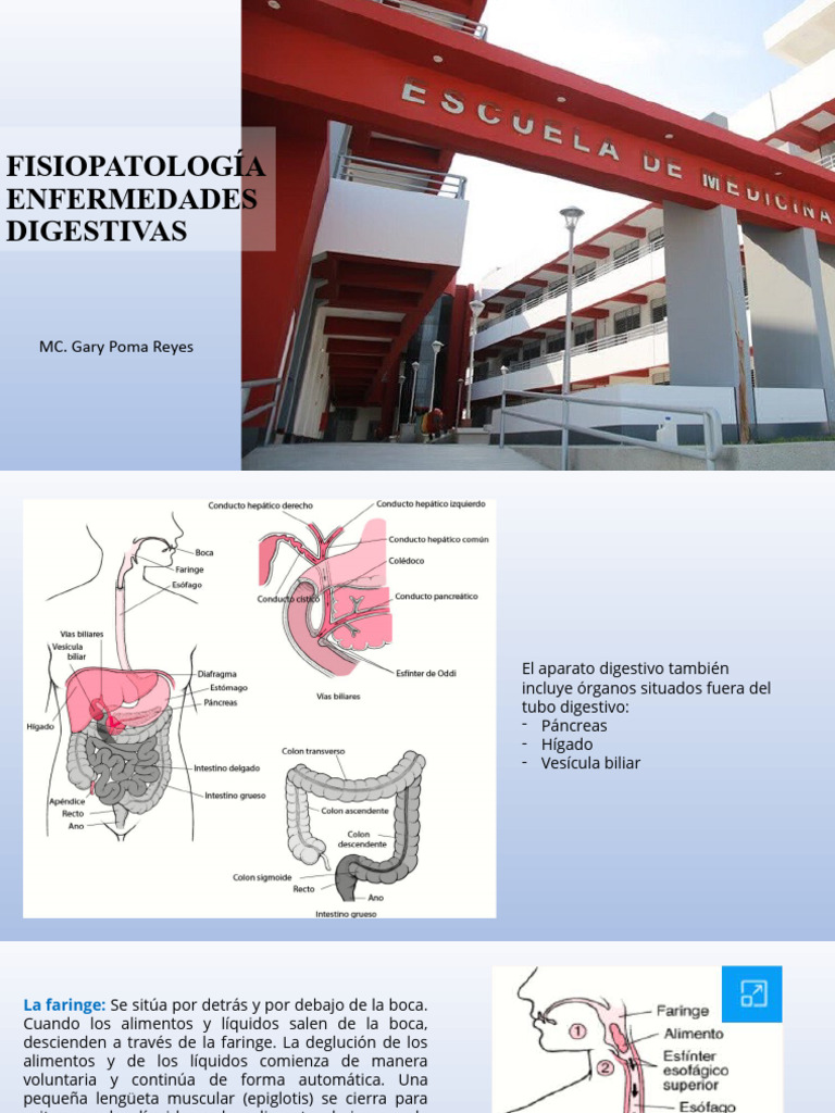 Fisiopatologia Enfeermedades Digestivas - DR Poma | PDF | Diarrea ...