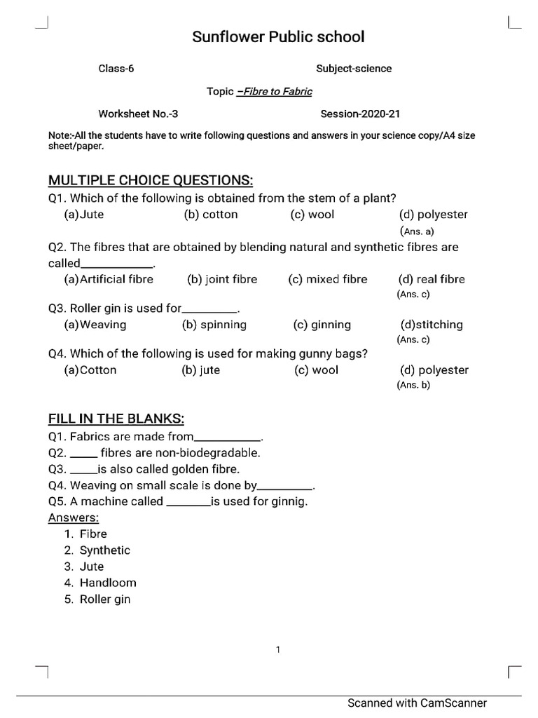 Cls 6 Science Worksheet 3 | PDF