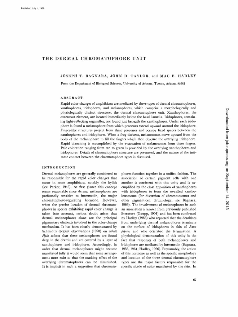 Dermal Chromatophore Unit in Amphibians | PDF | Biology | Cell Biology