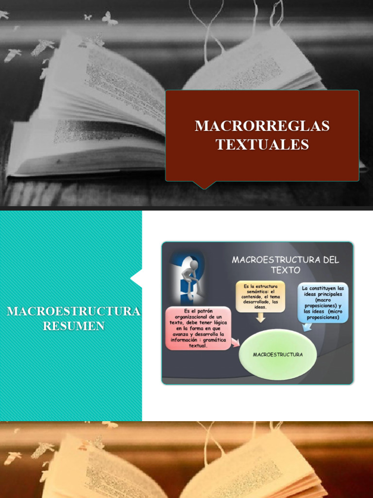 Macrorreglas Textuales | Descargar gratis PDF | Gramática | Lingüística