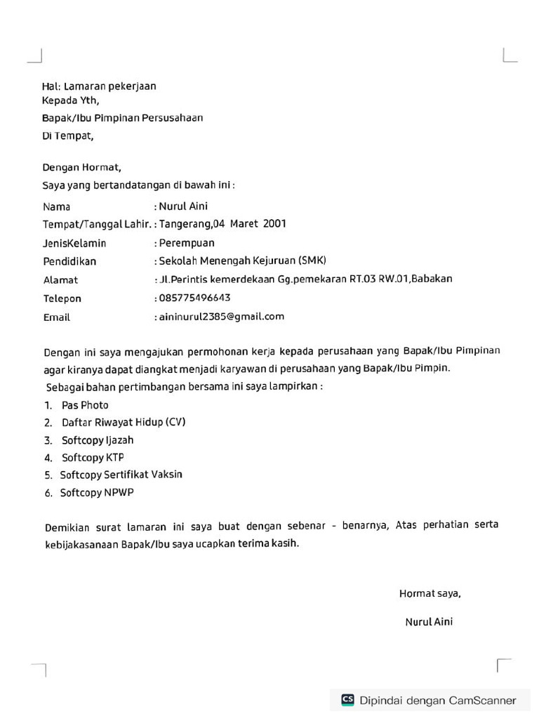 Nurul Aini CV | PDF
