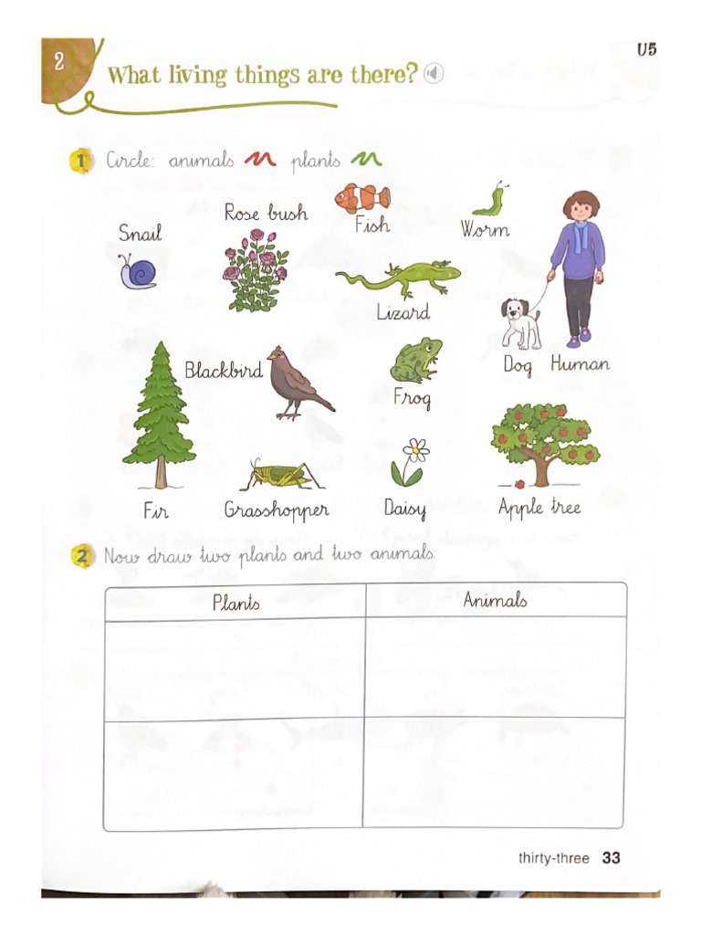 What Living Things Are There | PDF