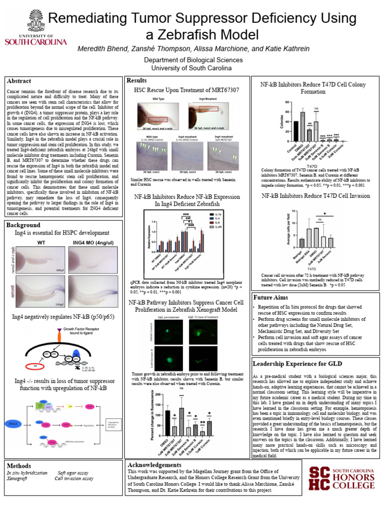 Discover Usc Poster Final | PDF | Nf κb | Hematopoietic Stem Cell