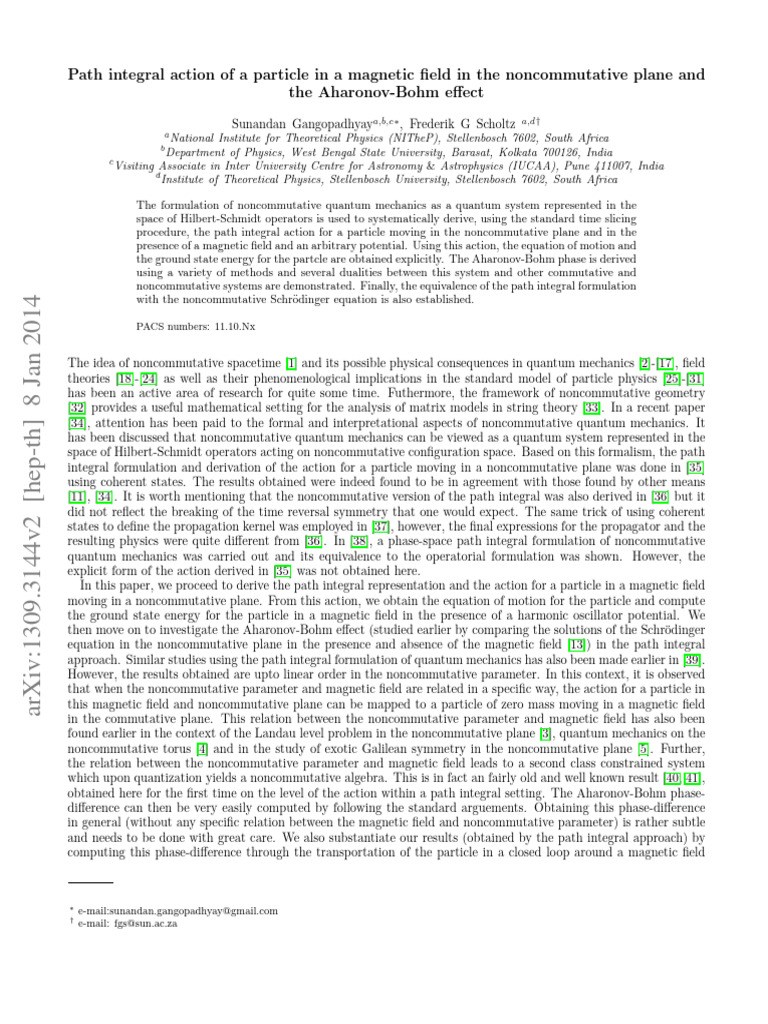 Path Integral Action of A Particle in A Magnetic Field in The ...
